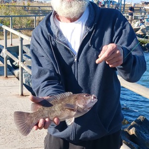 Old Inlet Bait & Tackle: Pictures