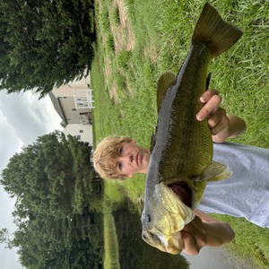 Old Inlet Bait & Tackle: Pictures